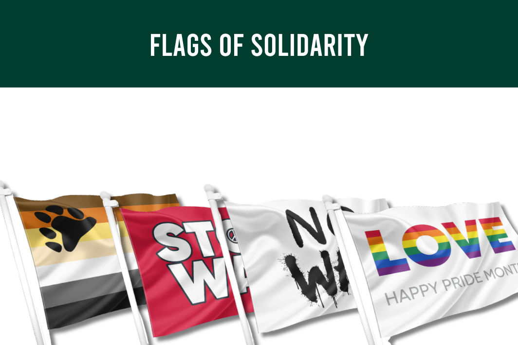 Flags of Solidarity | Peace & Protest Flags Made in Ireland – Flags ...