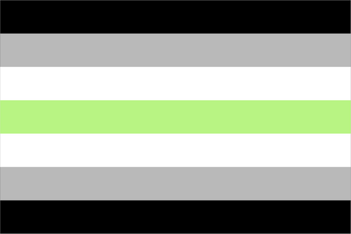 Agender Pride Flag – High-Quality Irish-Made LGBTQ+ Flag | Flags ...