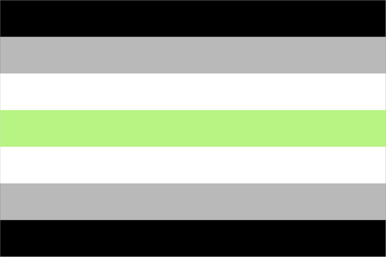 Agender Pride Flag – High-Quality Irish-Made LGBTQ+ Flag | Flags ...