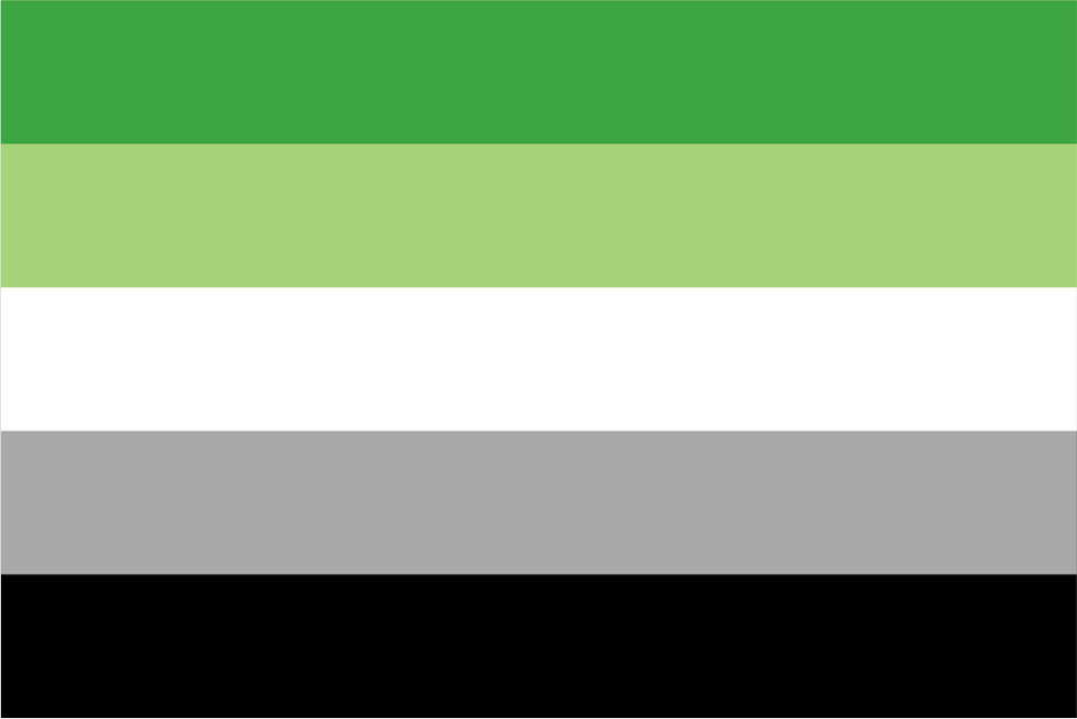 Aromantic Pride Flag – High-Quality Irish-Made LGBTQ+ Flag | Flags ...