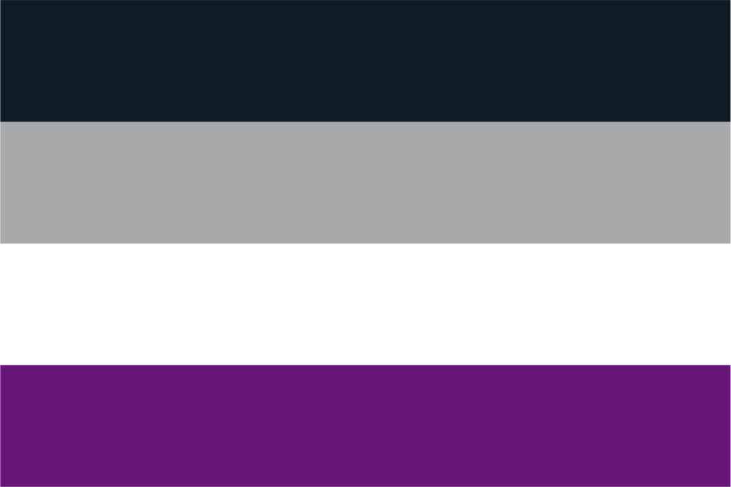 Asexual ACE Pride Flag – Flags Ireland Prospect Design
