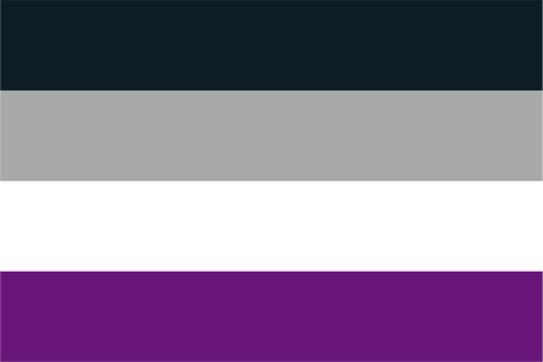 Asexual ACE Pride Handwaver Flag – Flags Ireland Prospect Design