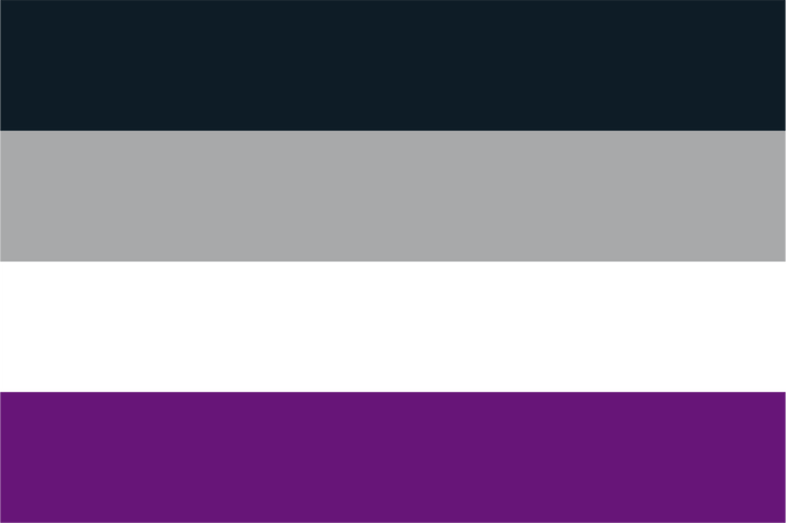 Asexual ACE Pride Hand Waver Flag – Flags Ireland Prospect Design