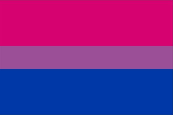 Bisexual Pride Flag – High-Quality Irish-Made LGBTQ+ Flag | Flags ...