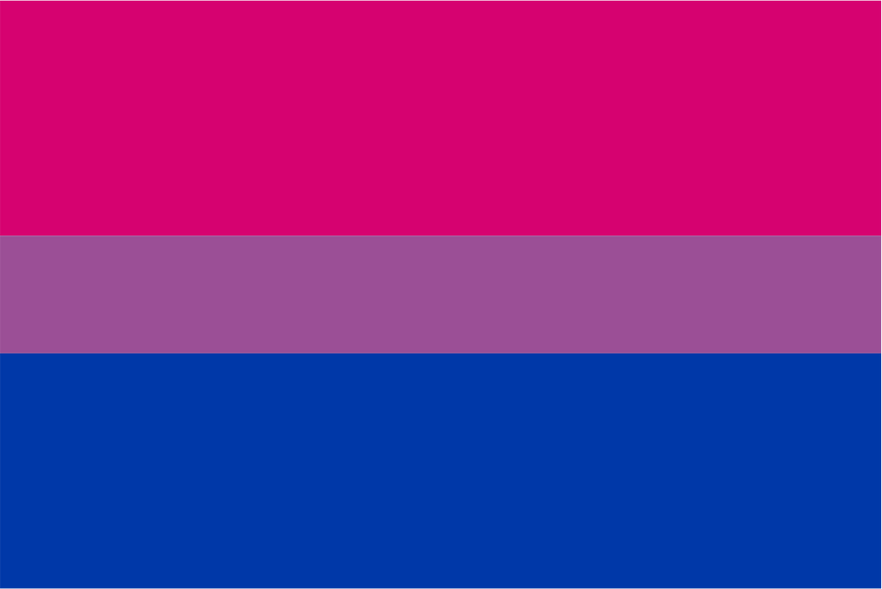 Bisexual Pride Flag – High-Quality Irish-Made LGBTQ+ Flag | Flags ...
