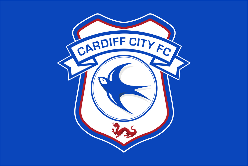 Cardiff City Football Club Flag - High-Quality Knitted Polyester Flag ...