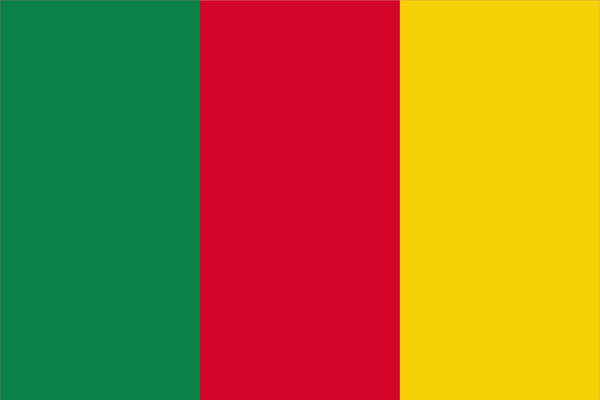 Green, Red and Golden Yellow Coloured Flag – Flags Ireland Prospect Design