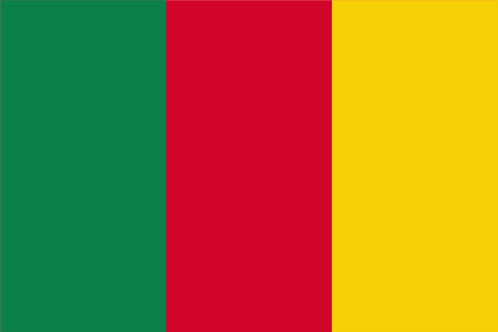 Green, Red and Golden Yellow Coloured Flag – Flags Ireland Prospect Design
