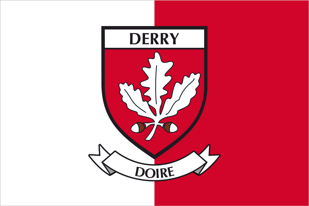 Derry County Crest Flag – Flags Ireland Prospect Design