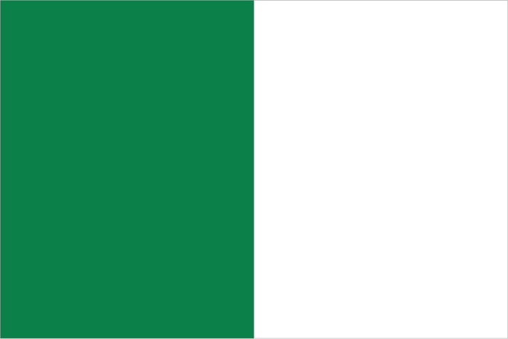 Green(National) & White Coloured Flag – Flags Ireland Prospect Design