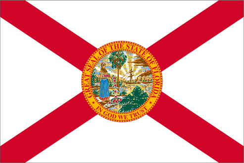 Buy Florida State Flag – Premium Quality, Made in Ireland – Flags ...