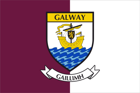 High-Quality Galway County Flags | Made in Ireland | Custom Sizes ...