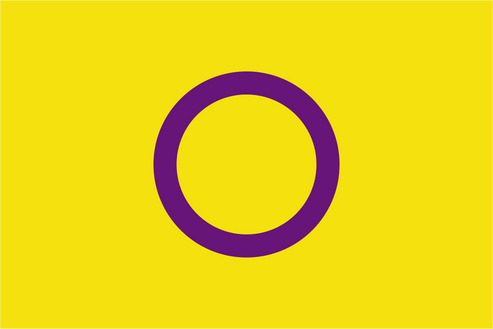 Intersex Pride Flag – High-Quality Irish-Made LGBTQ+ Flag | Flags ...