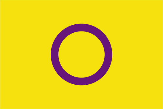 Intersex Pride Flag High Quality Irish Made Lgbtq Flag Flags