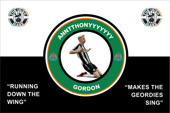 Irish Mags on Tour Cup Final Flag – Premium Quality, Made in Ireland ...