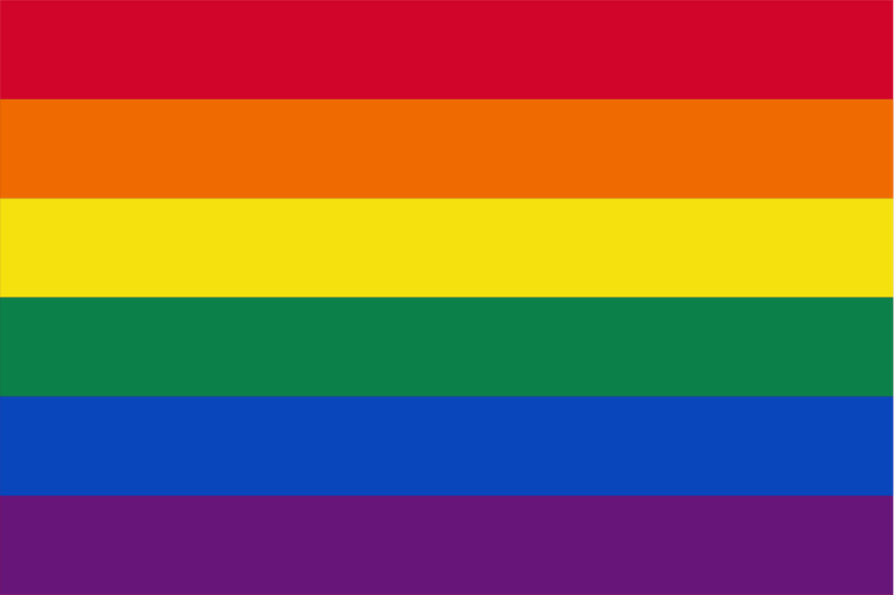 Rainbow Pride Handwaver Flag – Flags Ireland Prospect Design
