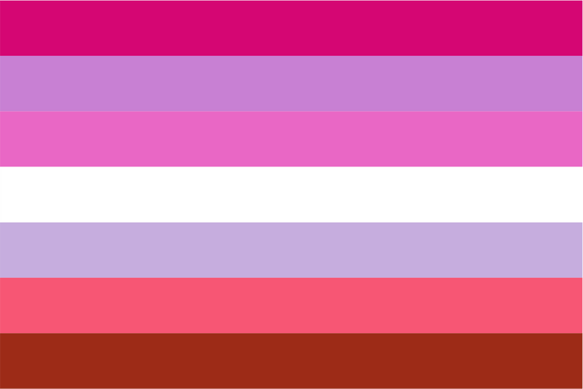 Lesbian Pride Handwaver Flag – Flags Ireland Prospect Design