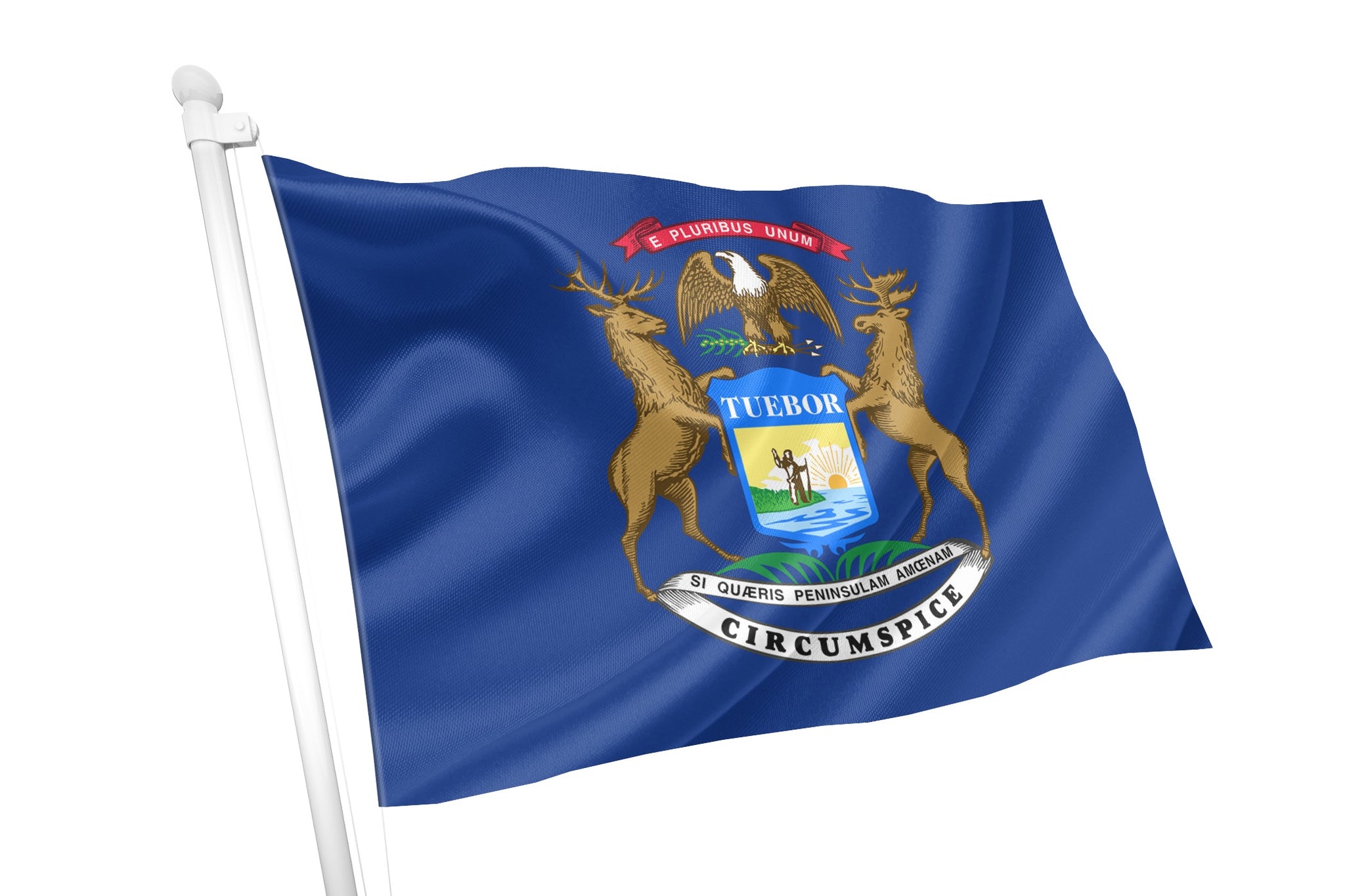 Buy Michigan State Flag – Premium Quality, Made in Ireland – Flags ...