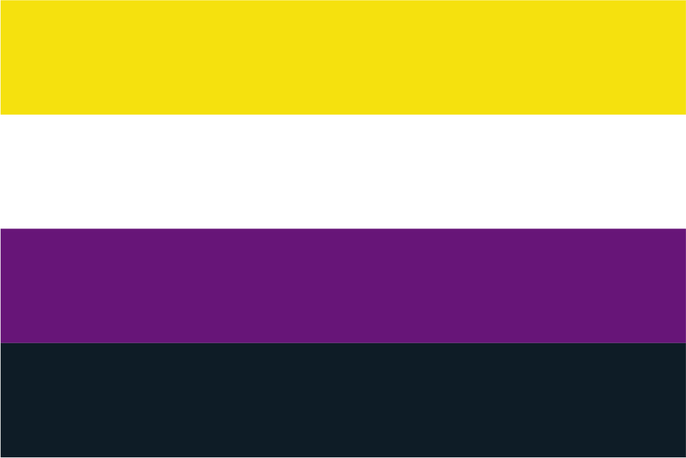 Nonbinary Pride Flag – High-Quality Irish-Made LGBTQ+ Flag | Flags ...