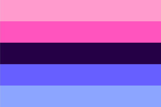 Omnisexual Pride Flag – High-Quality Irish-Made LGBTQ+ Flag | Flags Ireland – Flags Ireland ...