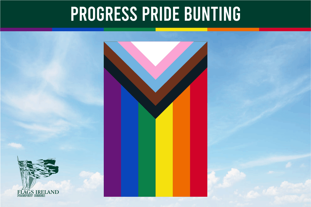 Progress Pride Flag Bunting – High-Quality LGBTQ+ Decoration | Flags ...