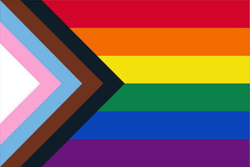 Progress Pride Flag – High-Quality Irish-Made LGBTQ+ Flag | Flags ...