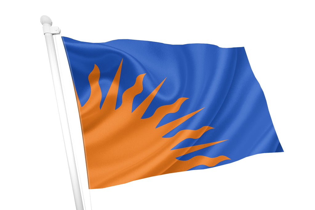 Sunburst(modern version) - Orange and Blue Flag – Flags Ireland ...