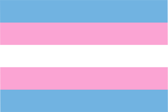 Transgender Pride Flag – High-Quality Irish-Made LGBTQ+ Flag | Flags ...