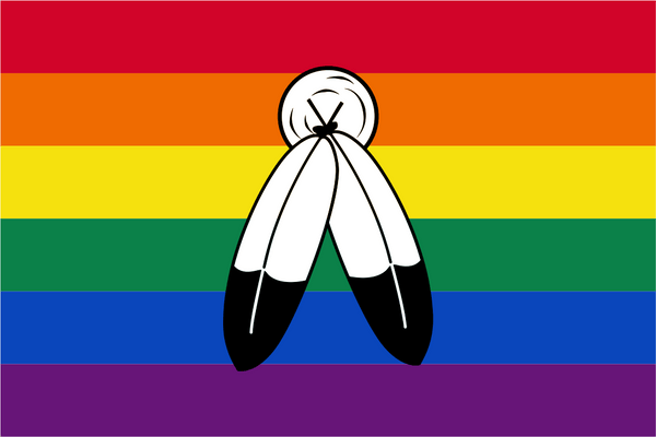 Two-Spirit Pride Flag – High-Quality Irish-Made LGBTQ+ & Indigenous ...