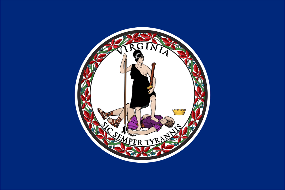 Buy Virginia State Flag – Premium Quality, Made in Ireland – Flags ...