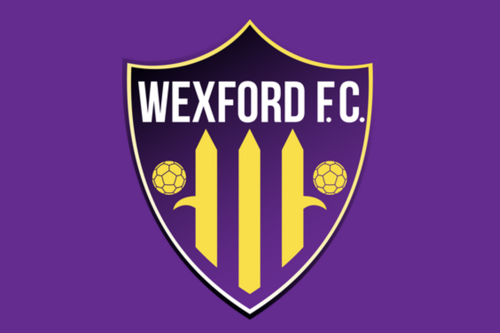 Wexford Football Club Flag – Flags Ireland Prospect Design
