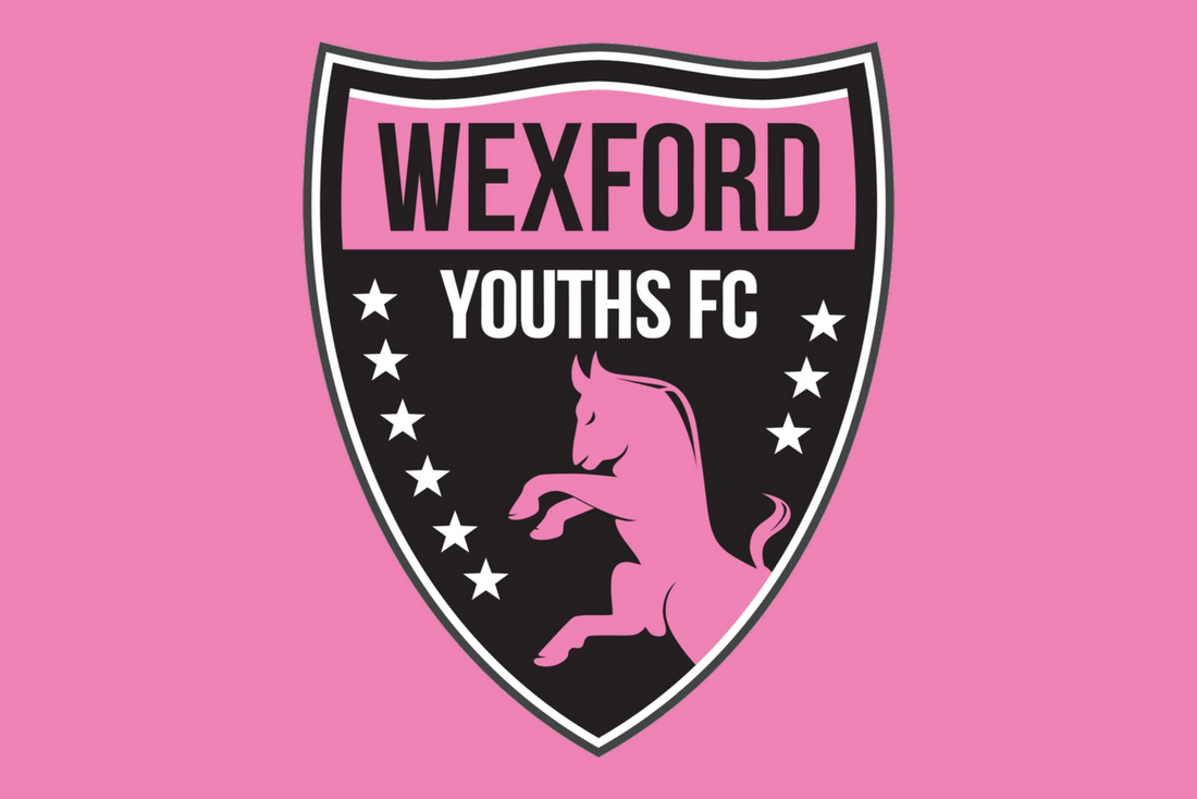 Wexford Youths Football Club Flag – Flags Ireland Prospect Design